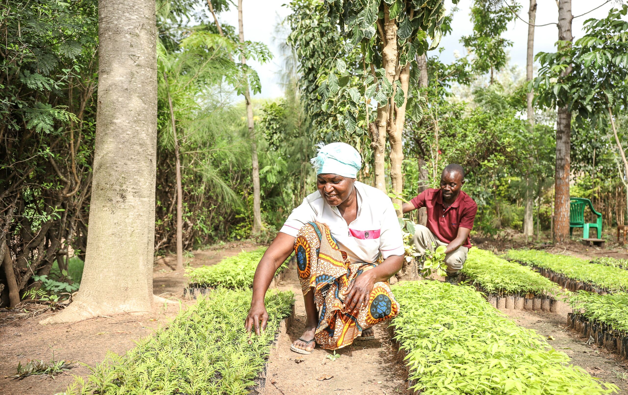 Where we work - Vi Agroforestry